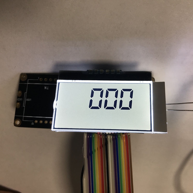 Custom Segment LCD Module with Backlight